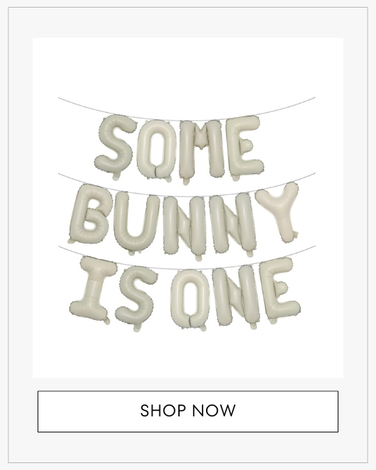 Some Bunny is One 1st Birthday Party - We Like To Party Plan